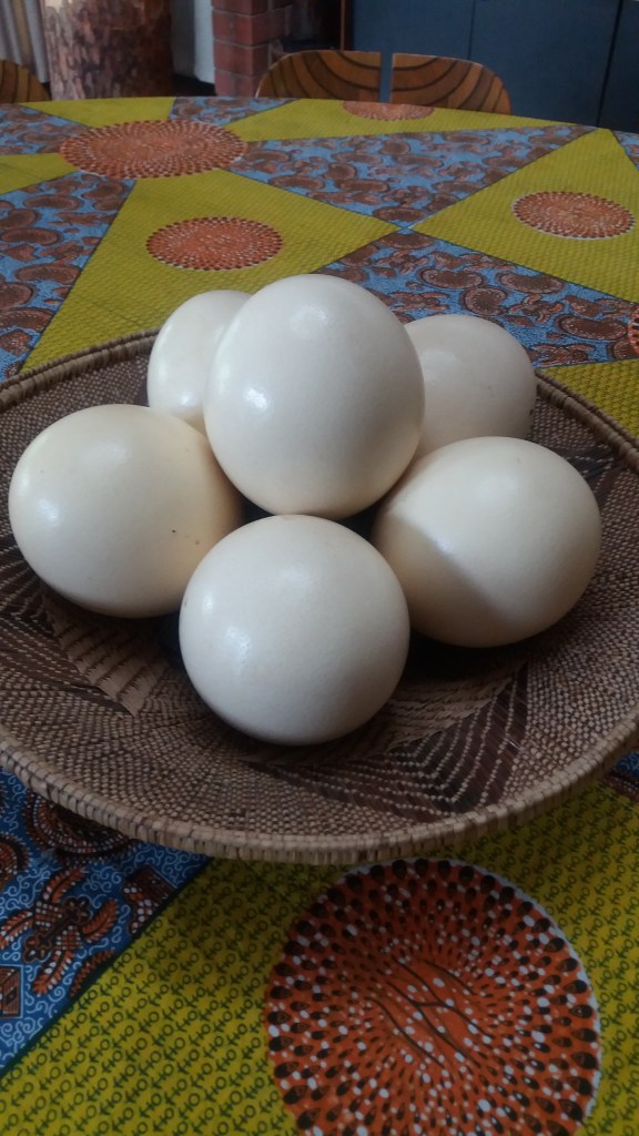 An Artistic Afternoon at Chaminuka – The Points of Lu