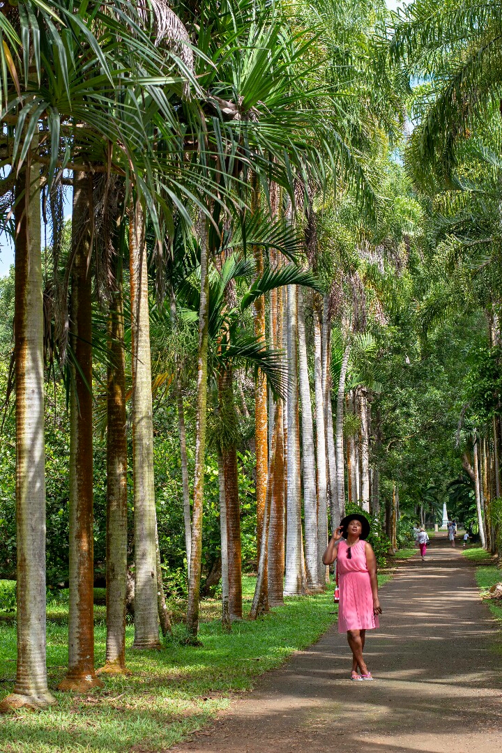Travel: A Walk in Pamplemousses – The Points of Lu